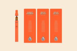 Everything You Need To Know About Stiiizy Vapes | Emjay Blog