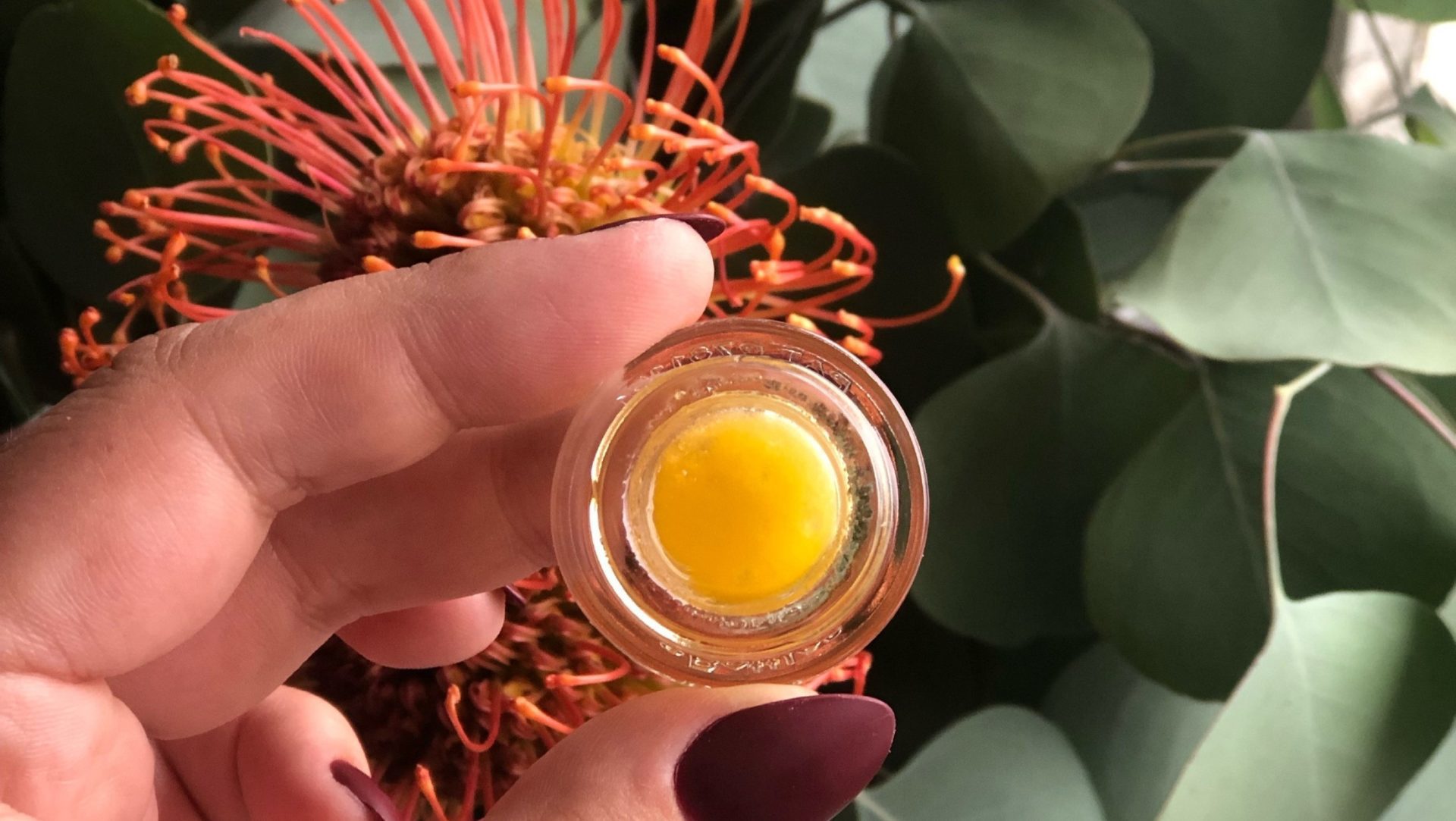 Types of Weed - What Are the Different Cannabis Forms? | Emjay Blog