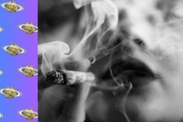 Which Cartridge Best Fits My Vape? | Emjay Blog