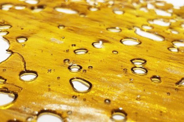 What's The Difference Between Concentrates Crumble, Sugar and Rosin?