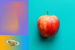 High CBG Strains: What Strains Have the Highest CBG? | Emjay Blog