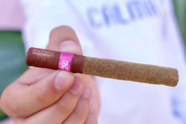 5 Household Objects To Smoke Weed Out Of | Emjay Blog