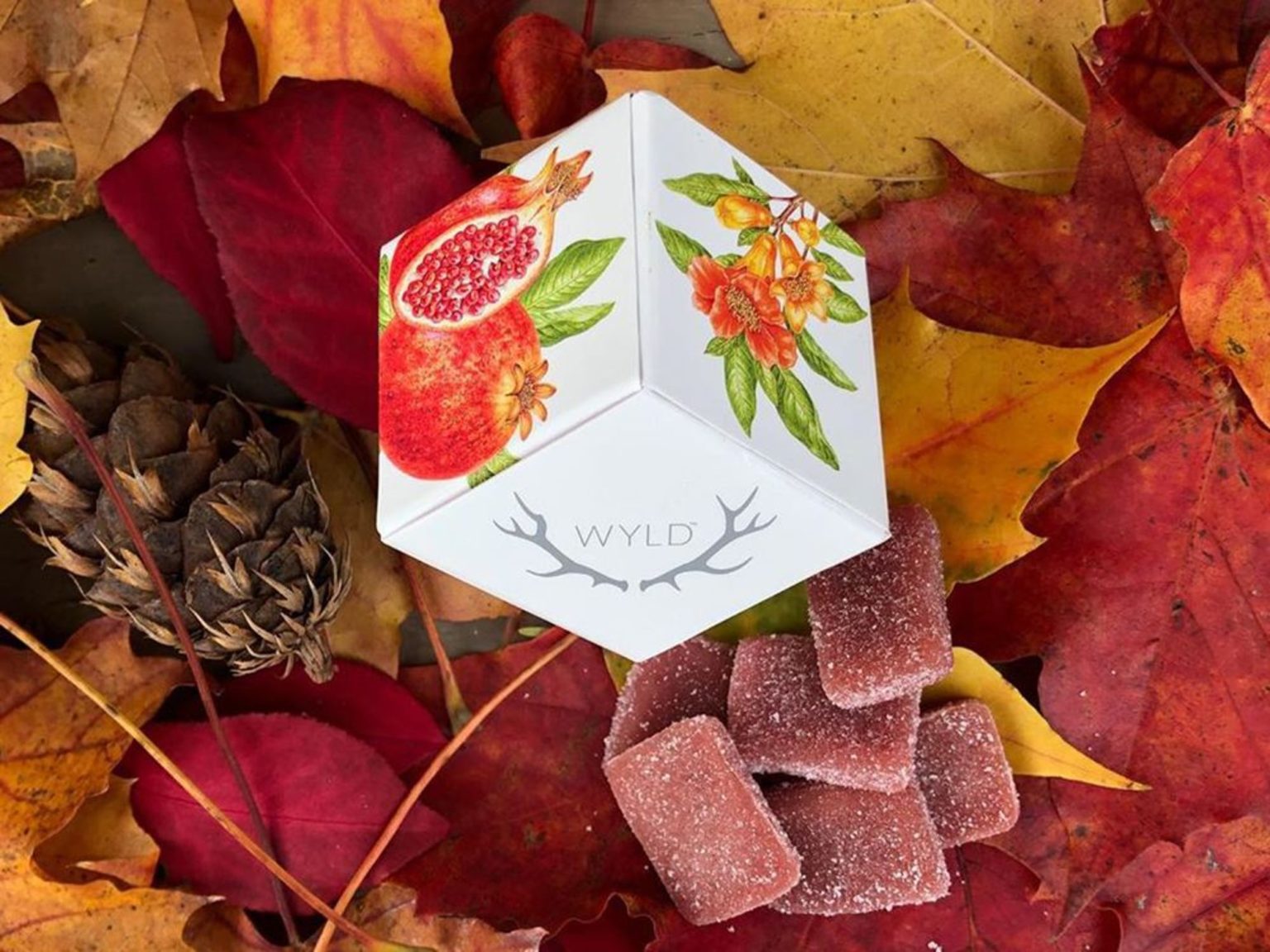 Everything You Need to Know About the Cannabis Brand WYLD