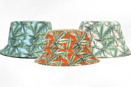 High CBG Strains: What Strains Have the Highest CBG? | Emjay Blog