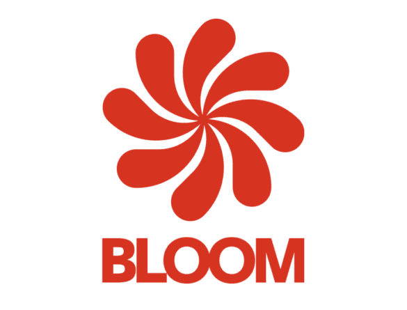 Everything You Need to Know About Bloom | Emjay Blog