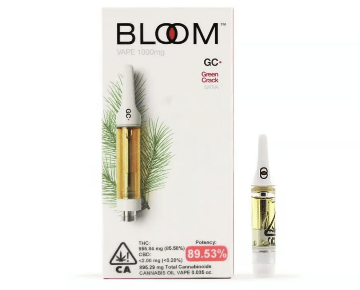 The Best Sativa Strains for 2023 | Emjay Blog